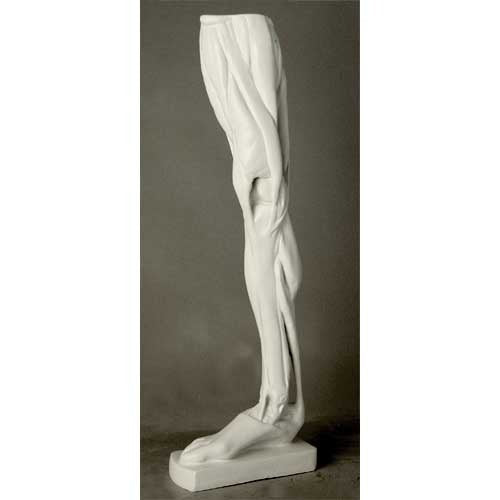 Anatomical Leg Garden Statue (32-Inch) — Bella Outdoors